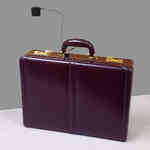 Handbag Security - Retail handbag security devices - Purse Security ...