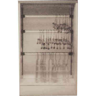 Multi-Width Mobile Hanger Rack with 2in Casters - Mobile Hanger Storage ...